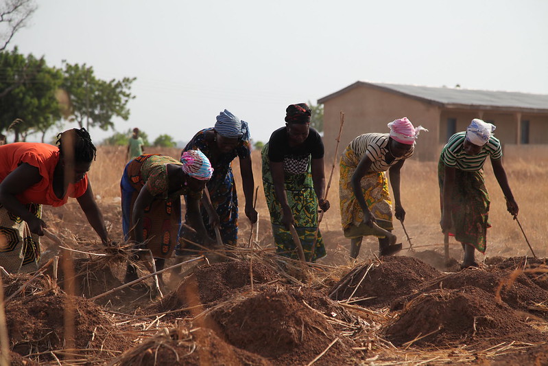 5 Ethical Farming Campaigns Everyone Should Know - The Borgen Project