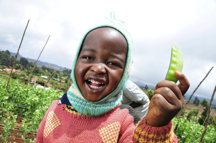 3 Innovations Reducing Food Insecurity in Kenya - The Borgen Project