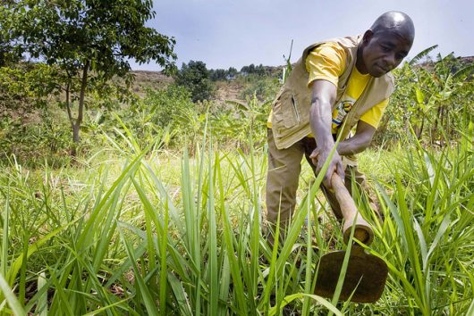 5 Major Ways of How Technology Improves Farming in Africa