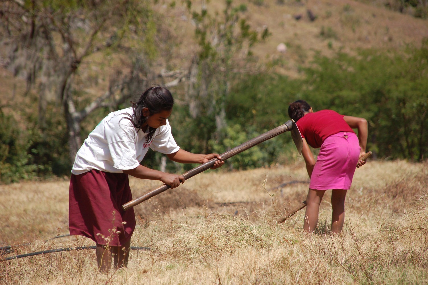 The Fight Against Poverty in Honduras - The Borgen Project