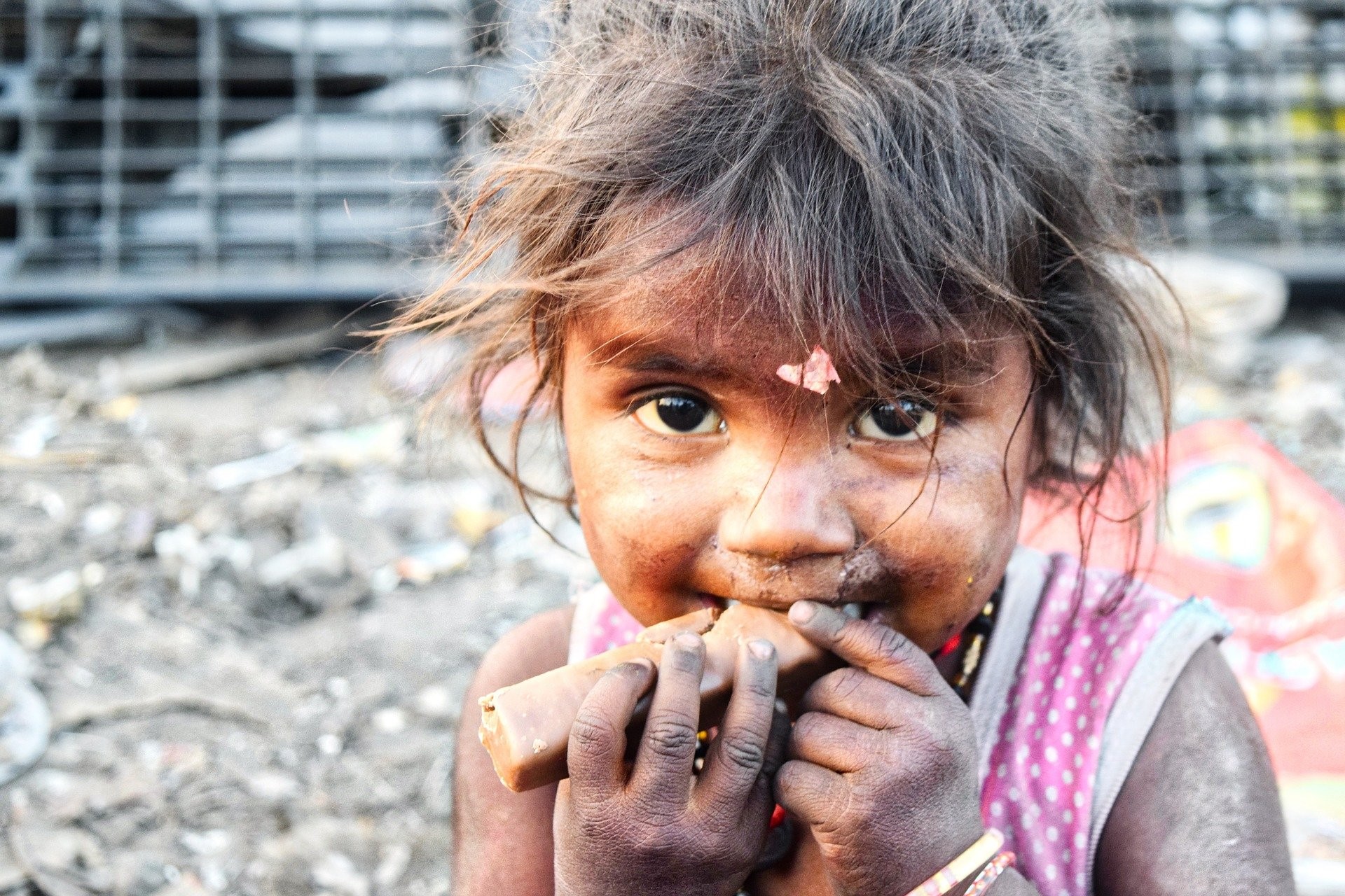 5 Vegan Groups Fighting World Hunger - The Borgen Project