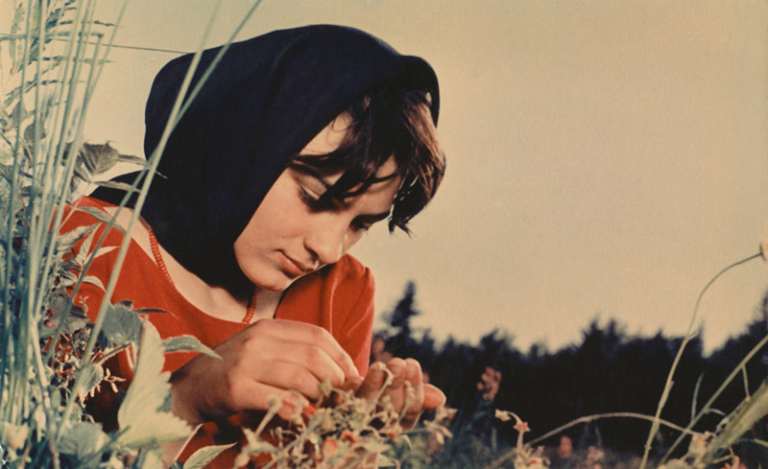 How Film Can Raise Awareness About Poverty - The Borgen Project