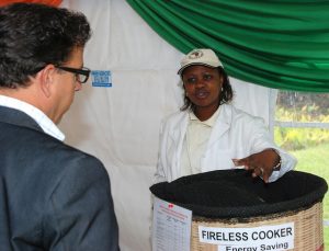 Answering a Question: What Is a Fireless Cooker?