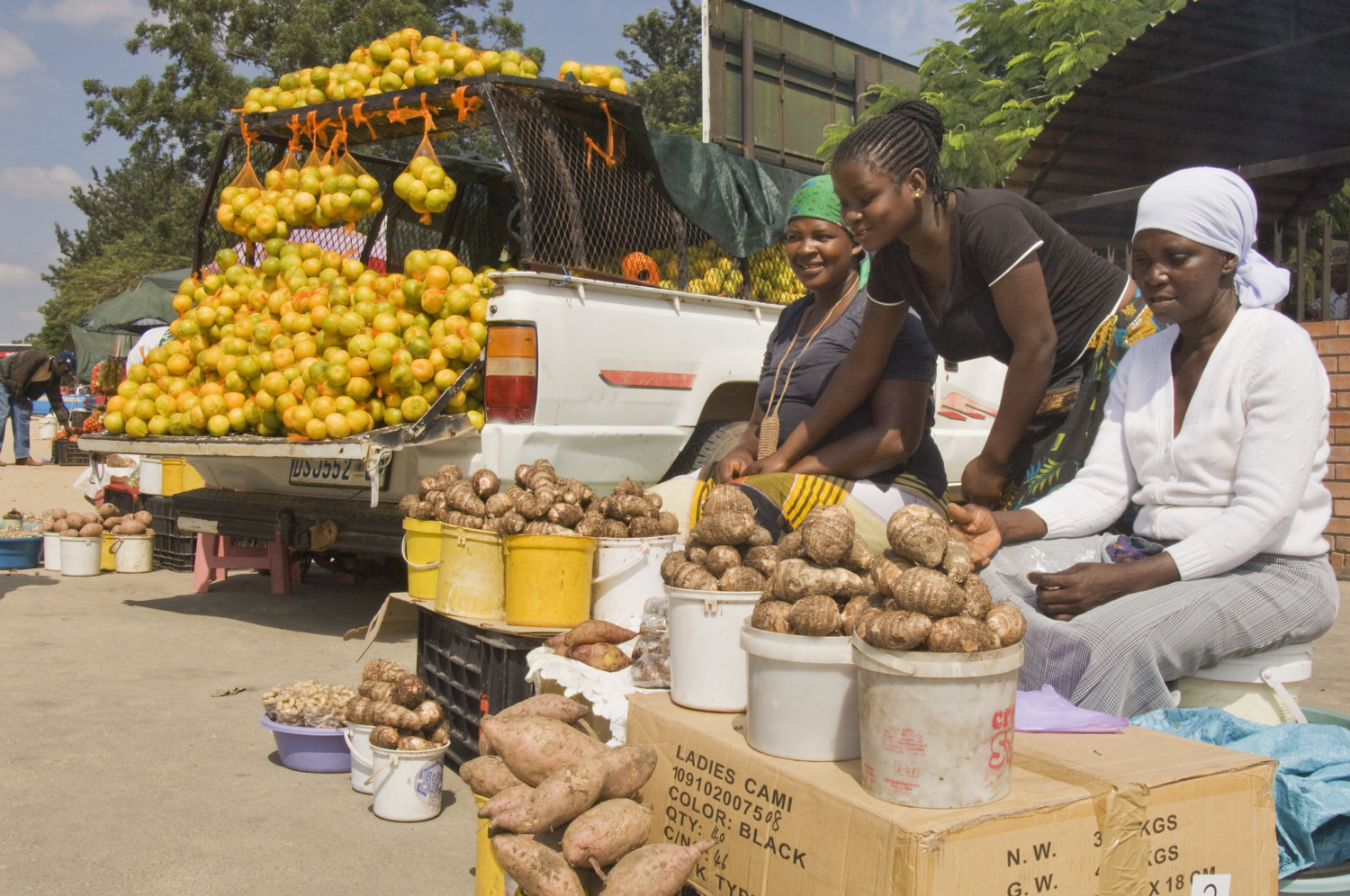 Food Insecurity and Mental Health Around the Globe - The Borgen Project
