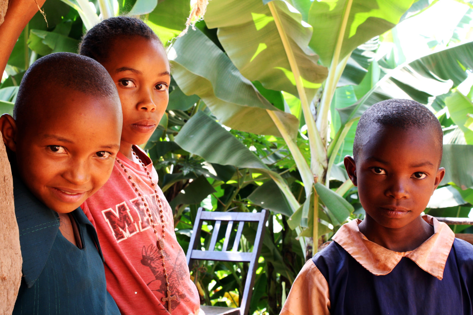 Food Loss in Africa Reduced Via Solar Freeze- The Borgen Project