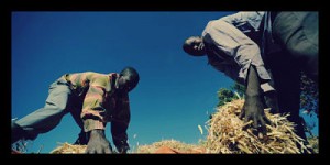 Food for Progress - The Borgen Project