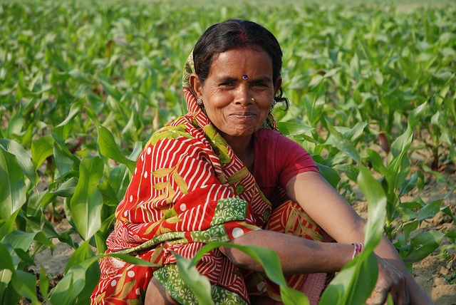 The Key to Improving Gender Equality and Nutrition - The Borgen Project
