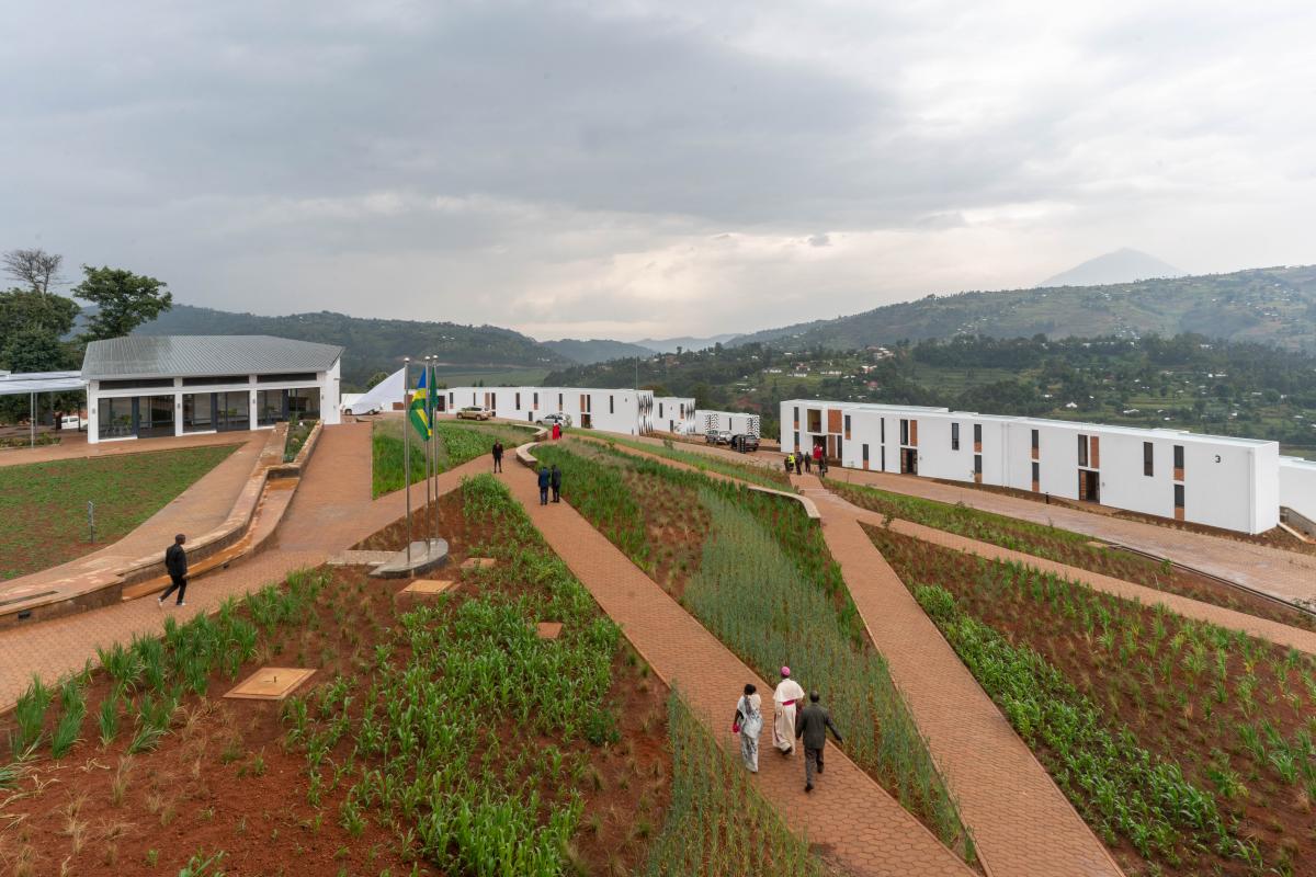 Global Health Equity - The Borgen Project