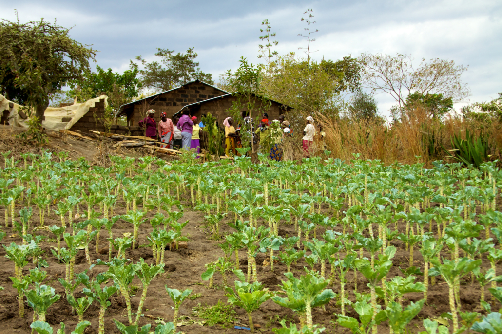 Health Improvements in Rural Kenya - The Borgen Project
