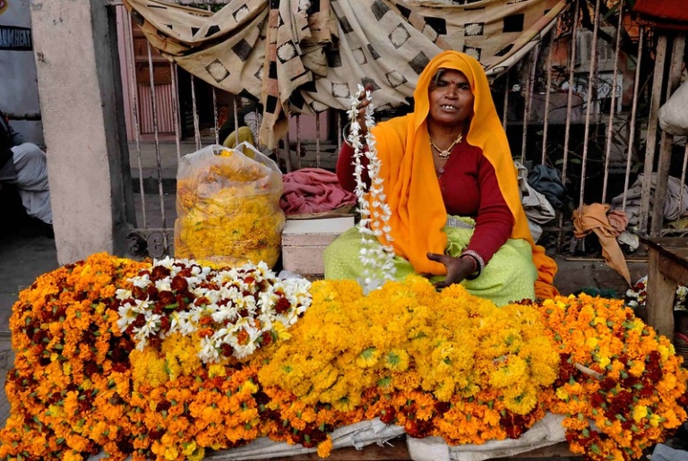 Organizations Improving Health care Services in India - The Borgen Project