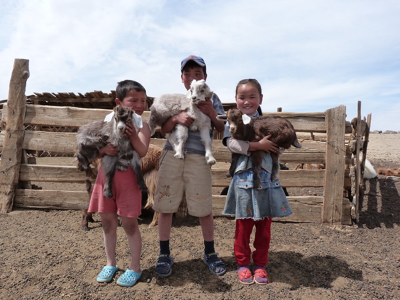 Organizations Assisting Mongolia After the Catastrophic Dzud - The ...