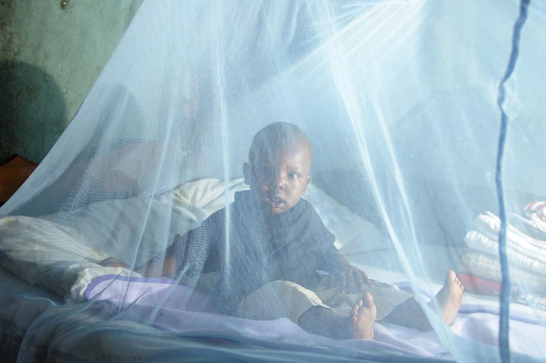 How Dual-Insecticide Nets Strengthen Malaria Control in Africa - The ...