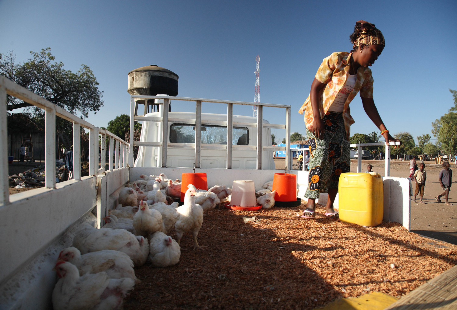 Everything To Know About Hunger In Uganda - The Borgen Project