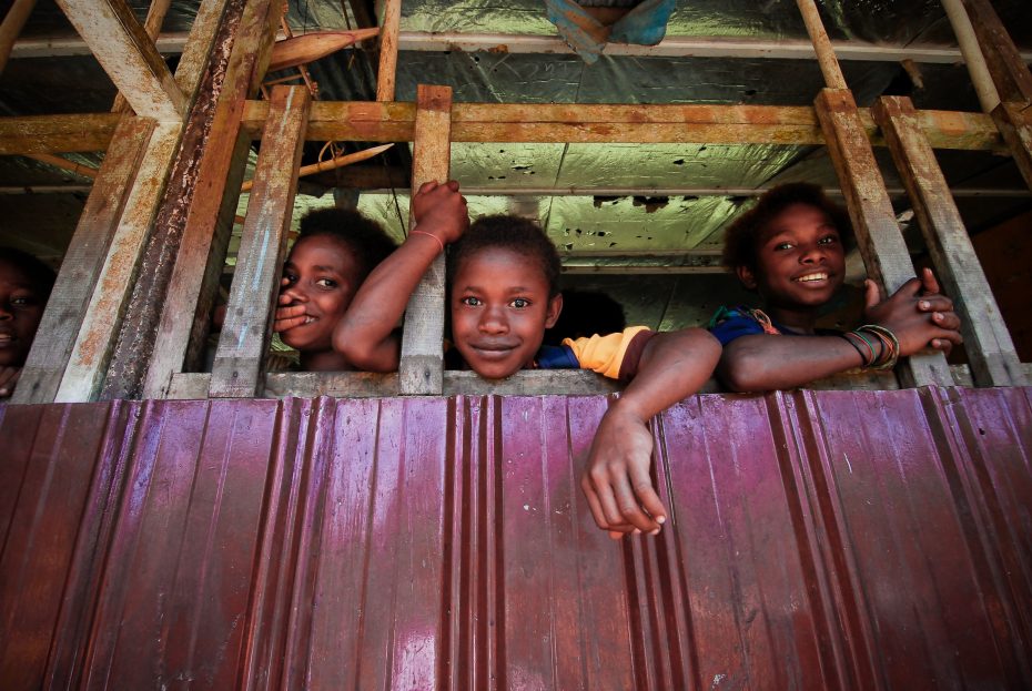 Organizations Working to Relieve Hunger in Guinea - The Borgen Project