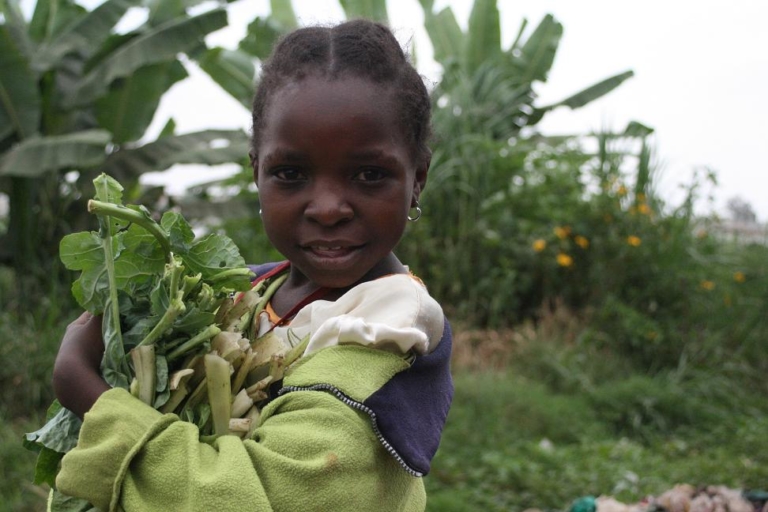 Two Nonprofits Tackle Hunger in Kenya - The Borgen Project