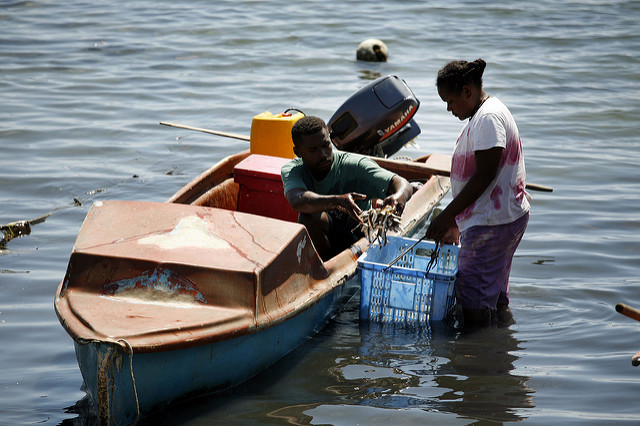 Hunger in the Solomon Islands - The Borgen Project