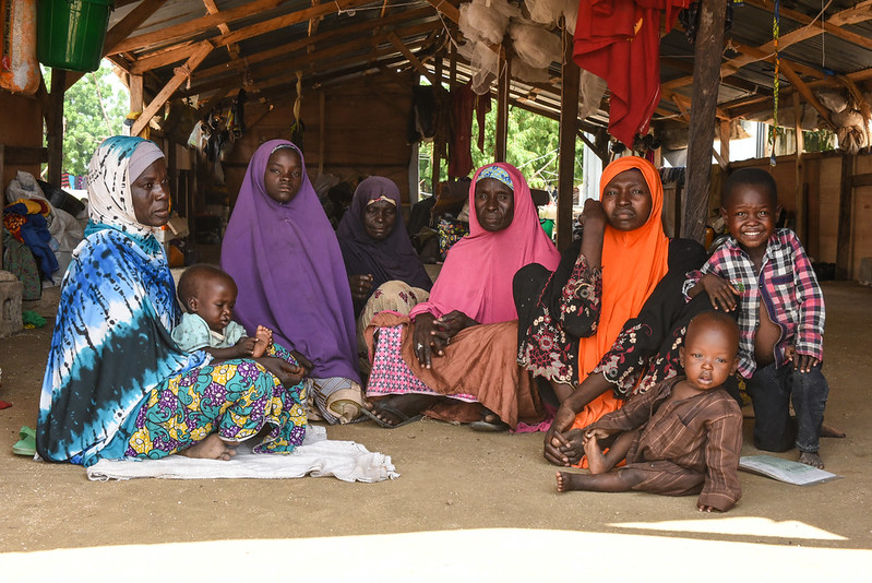 How IWAYEC Is Transforming Livelihoods in Borno State, Nigeria - The ...