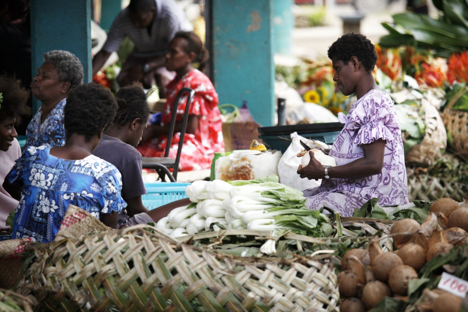 Innovations in Poverty Eradication in Vanuatu - The Borgen Project Innovations in Poverty Eradication in Vanuatu - The Borgen Project