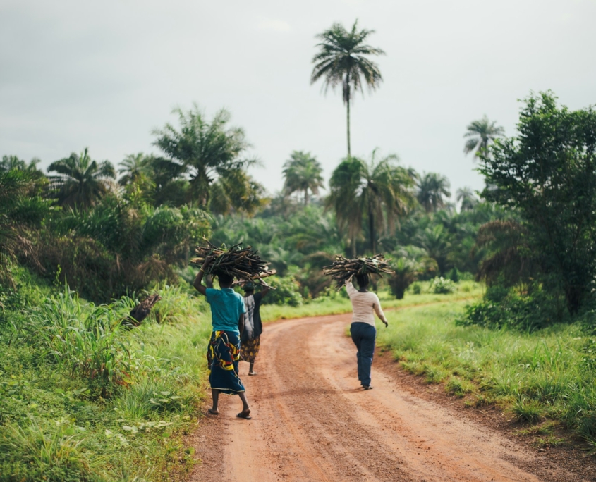 Innovative Ways CEPI is Fighting Lassa Fever - The Borgen Project