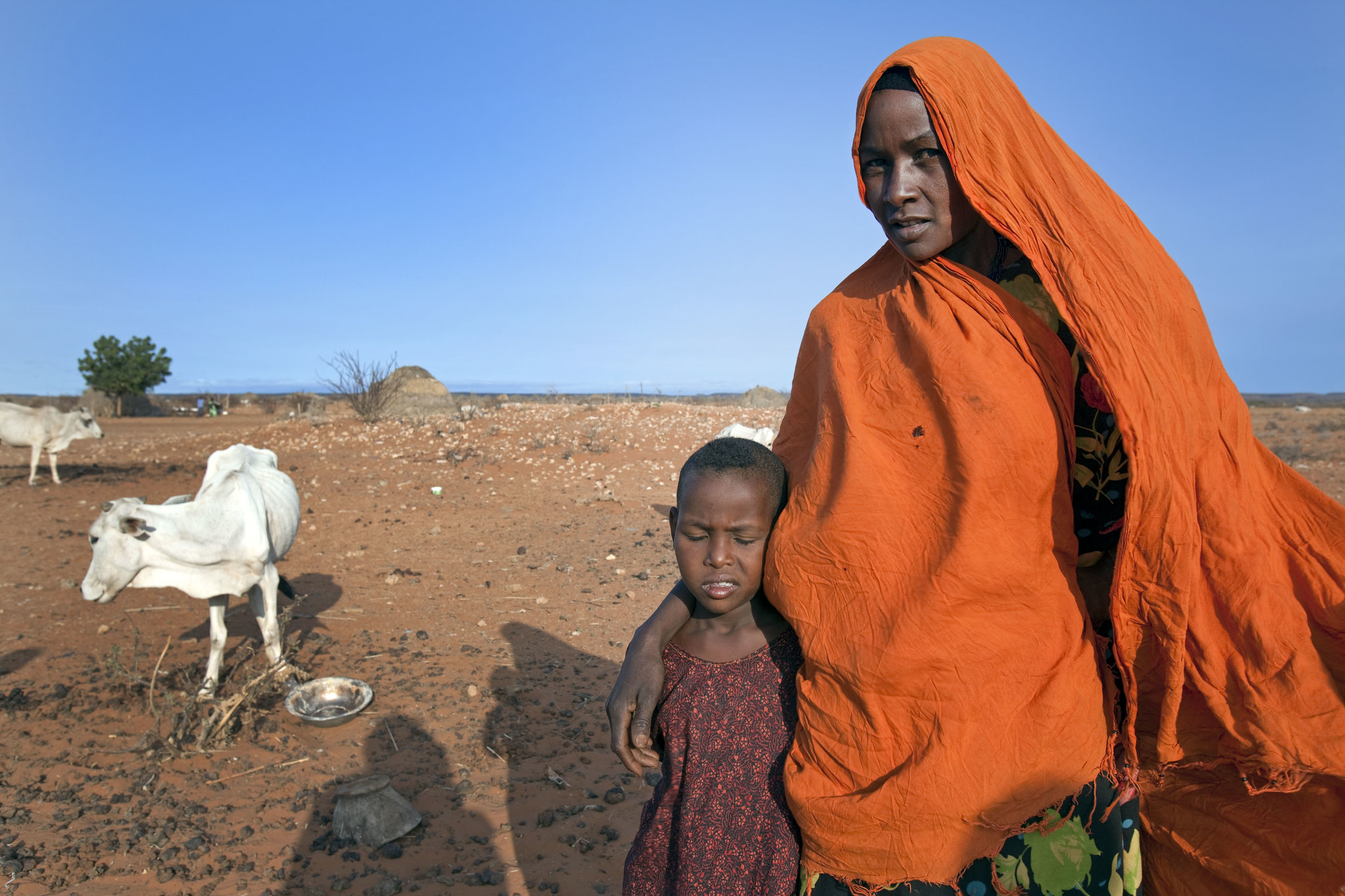 Irish Aid Coming to the Horn of Africa - The Borgen Project