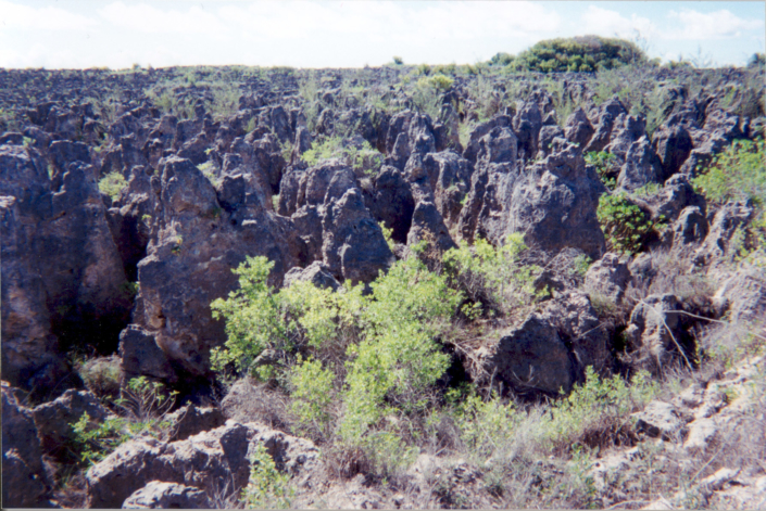 Top 10 Facts About Living Conditions in Nauru - The Borgen Project