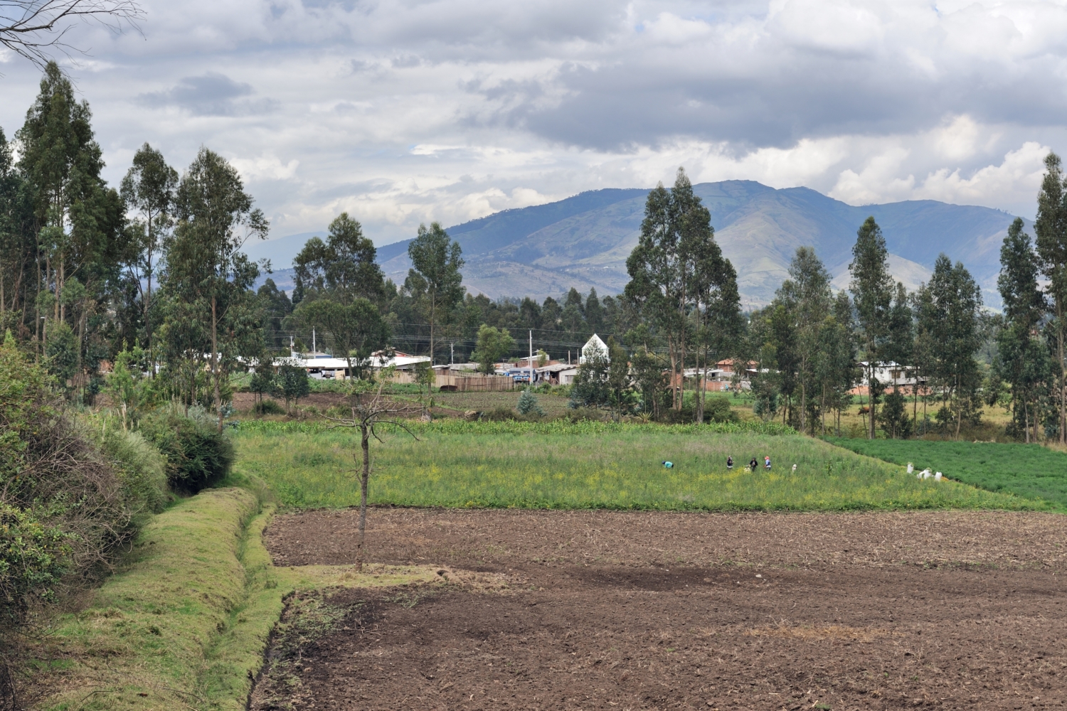 How Land Titles in Ecuador Help Rural Families Escape Poverty - The ...