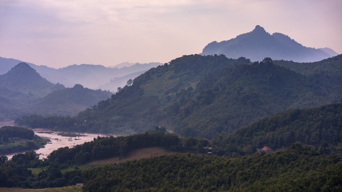 The Borgen Project Utilizing Laos' Forests for Poverty Reduction