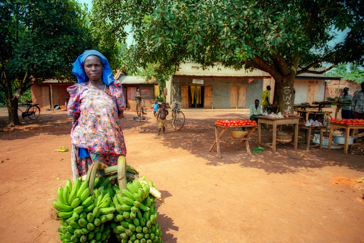 Orange Sweet Potato Combats Malnutrition in Uganda - The Borgen Project