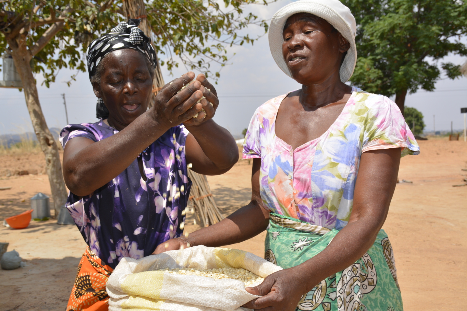 Microfinance in Zimbabwe: Supporting Women Entrepreneurs
