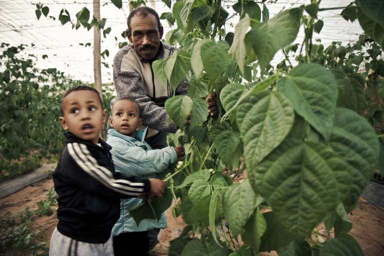 Children in Morocco are Breaking Cyclical Poverty - The Borgen Project