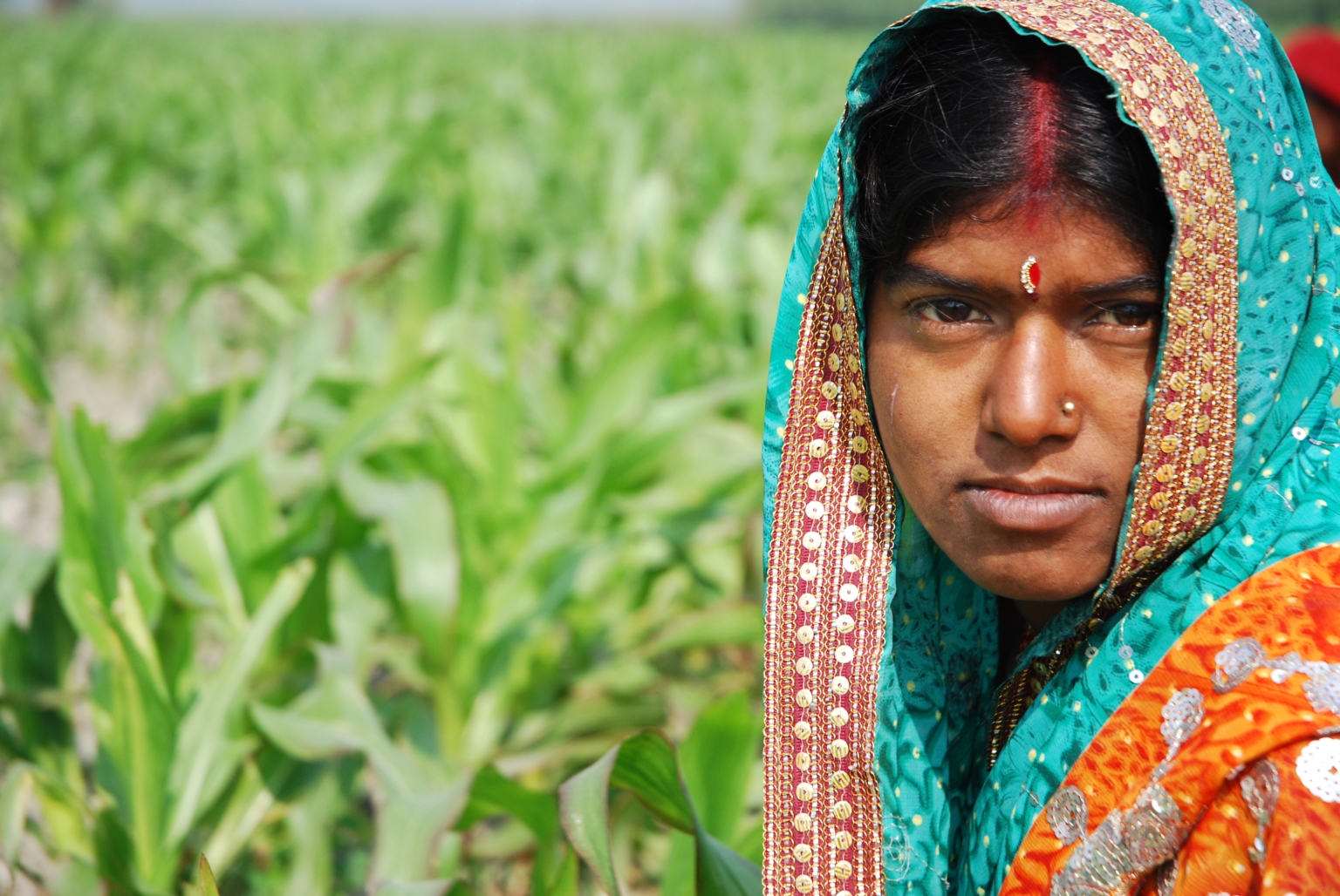 Nanotechnology Can Transform Agriculture - The Borgen Project