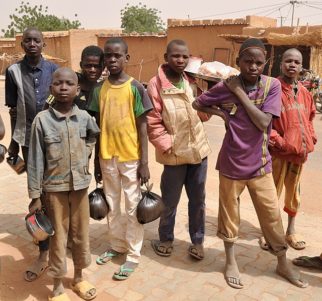 The Growing Production Of Energy In Niger The Borgen Project