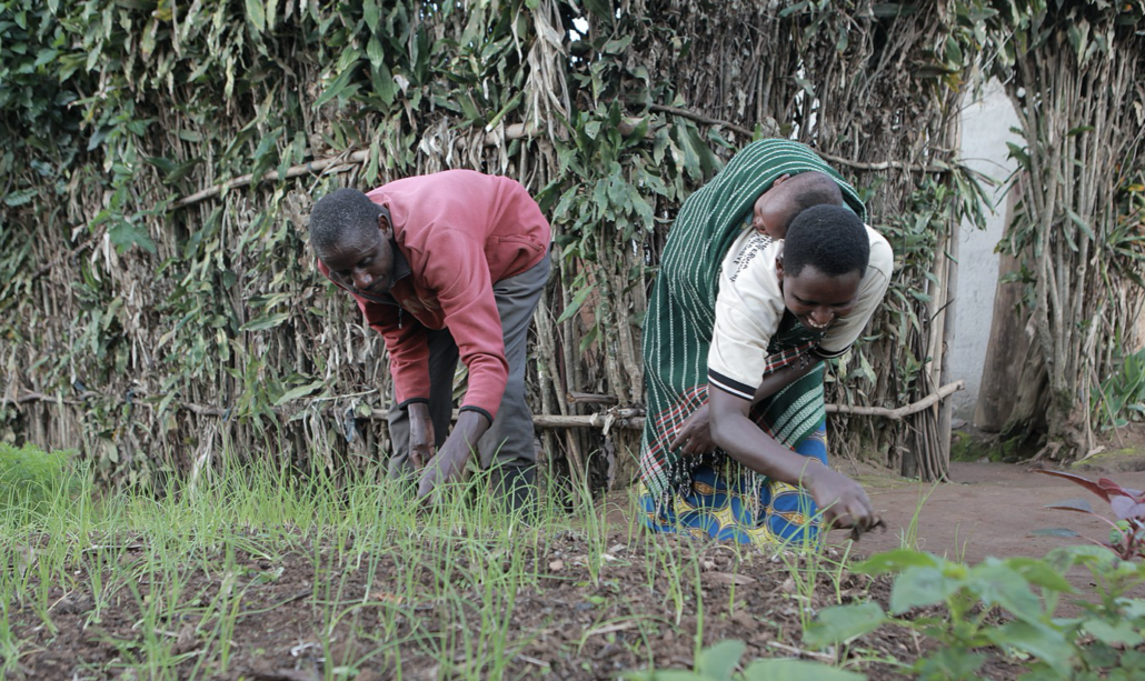 Examining Poverty in Rwanda - The Borgen Project