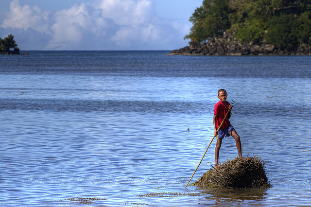 Examining the Poverty Rate in Fiji - The Borgen Project