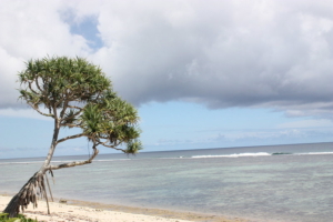 Poverty Reduction in Tonga - The Borgen Project