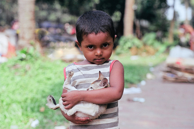 5 Ways Poverty Has Been Reduced in Bangladesh