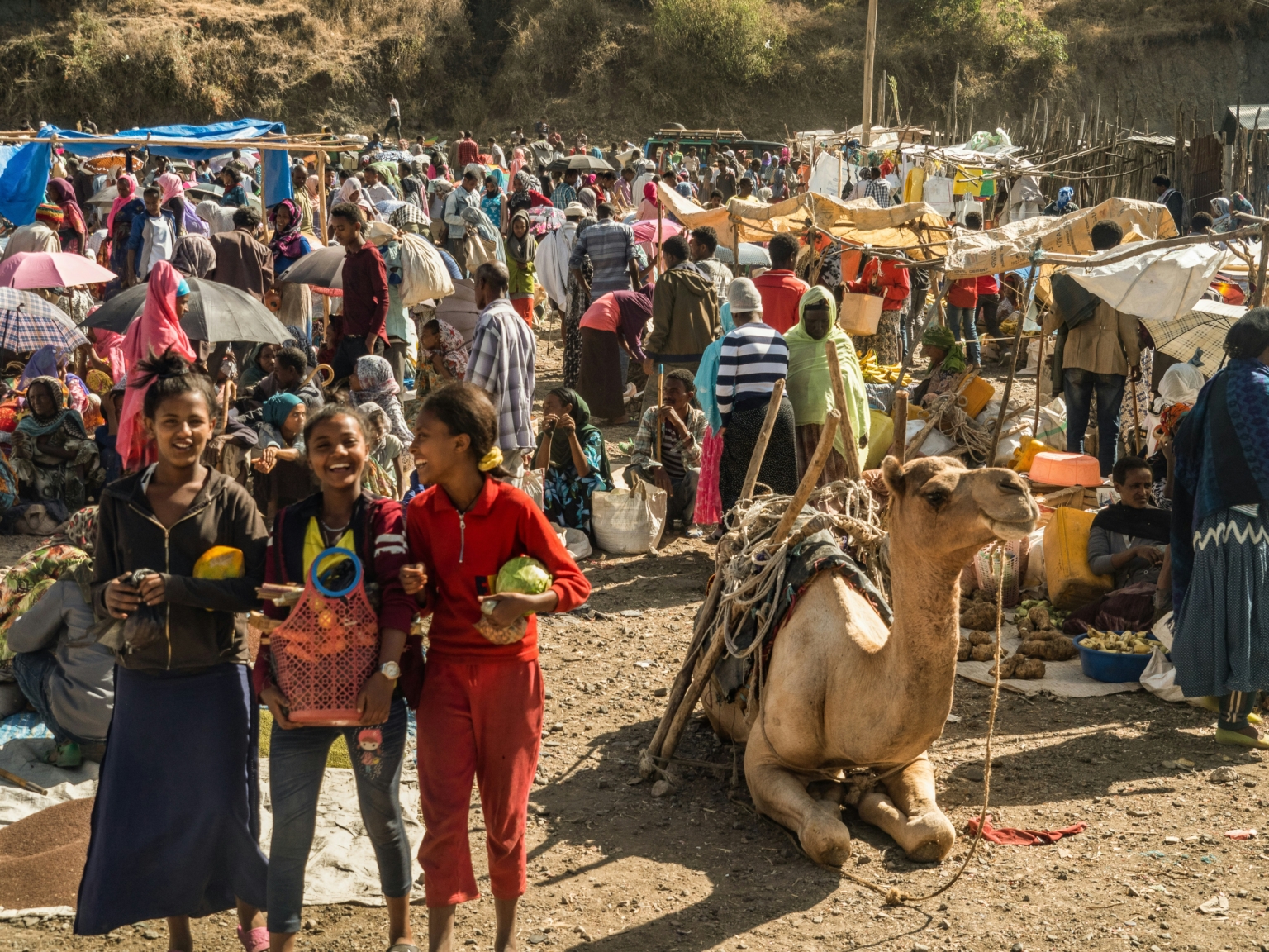 International Charities Working To Fight Poverty in Ethiopia - The ...