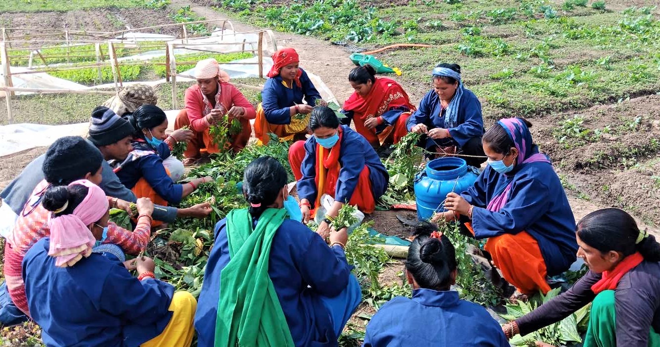 3 Strategies In Place To Address Poverty in Nepal - The Borgen Project