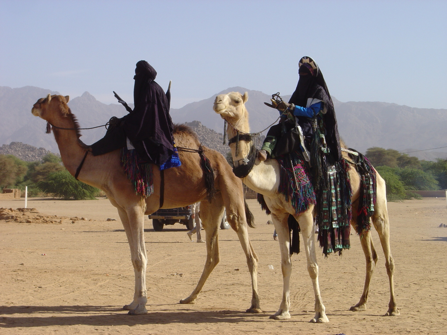 Camels To Help Ease Poverty In Niger The Borgen Project