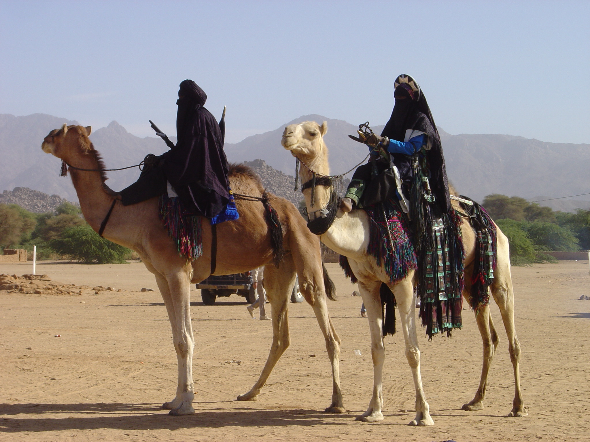Camels to Help Ease Poverty in Niger - The Borgen Project