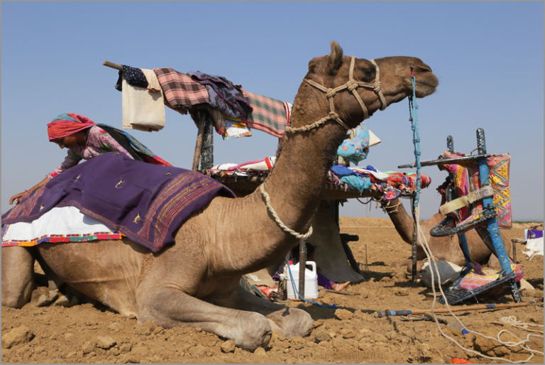 Rural-Urban Migration and the Developing World - The Borgen Project