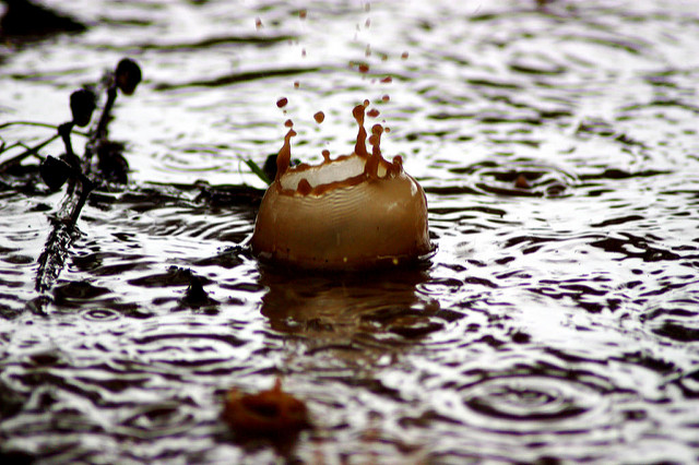 Rainwater Harvesting Systems: Water Insecurity in Kenya - The Borgen ...