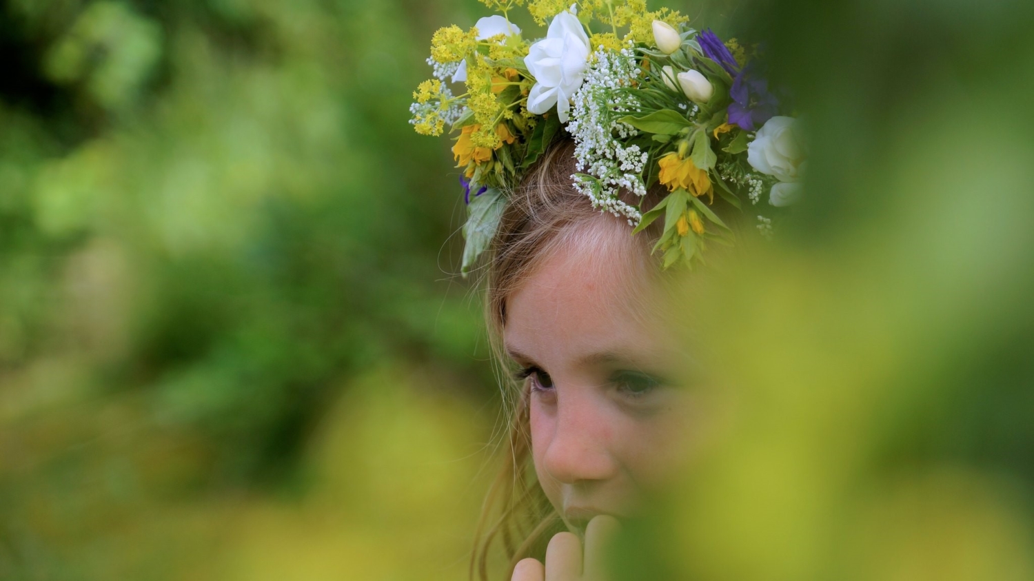 100% Renewable Energy in Sweden by 2040 - The Borgen Project