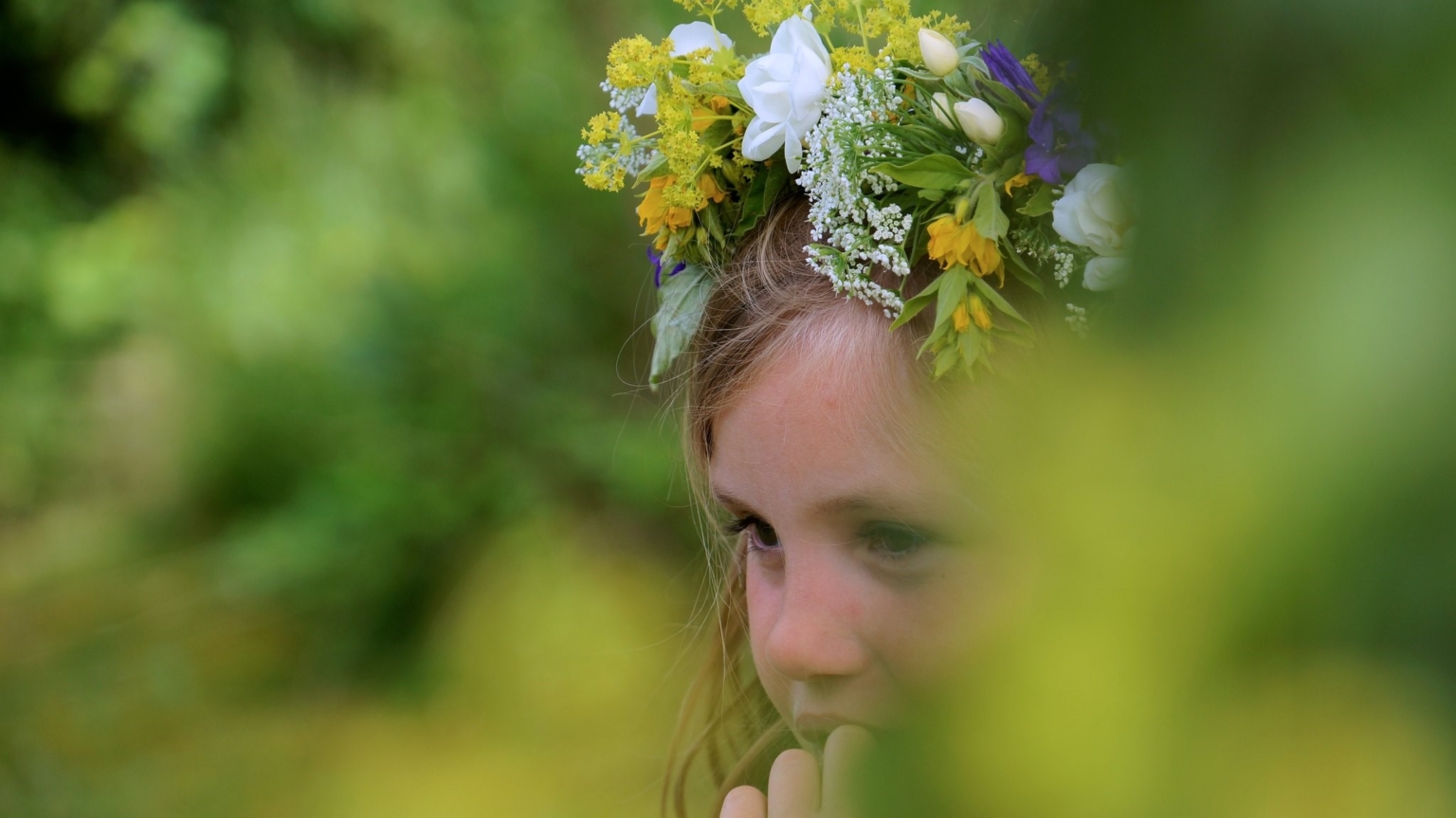 100% Renewable Energy in Sweden by 2040 - The Borgen Project