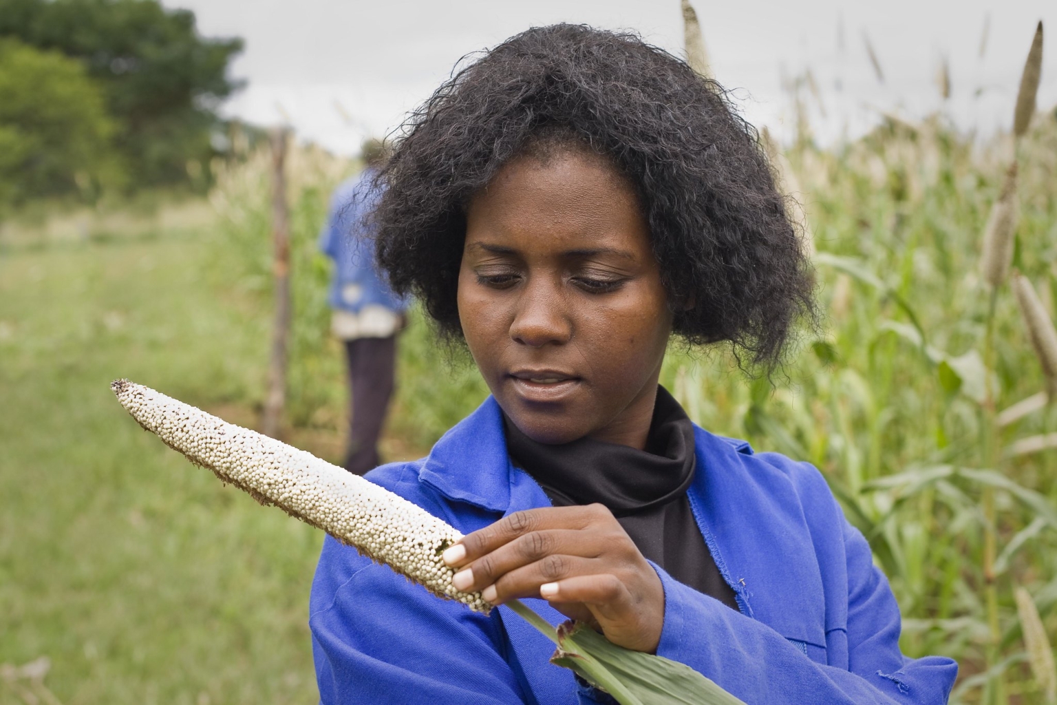 Sunny Days: Renewable Energy in Zimbabwe - The Borgen Project