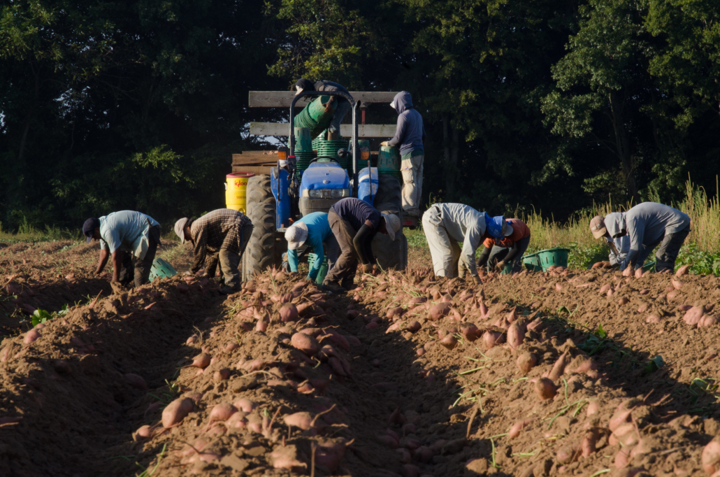 Understanding the Role of Agriculture in Bangladesh Poverty Reduction ...