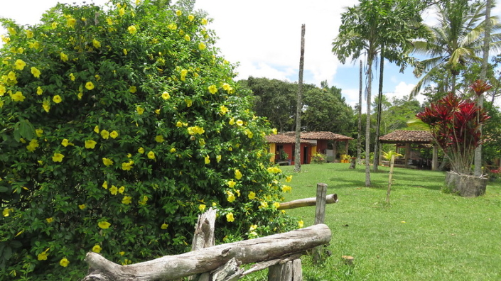 How Renewable Energy Can Help Rural Colombian Communities - The Borgen ...