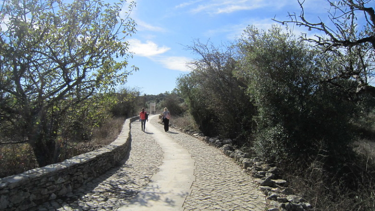 Rural Development in the Azores Helps Farmers in Need - The Borgen Project