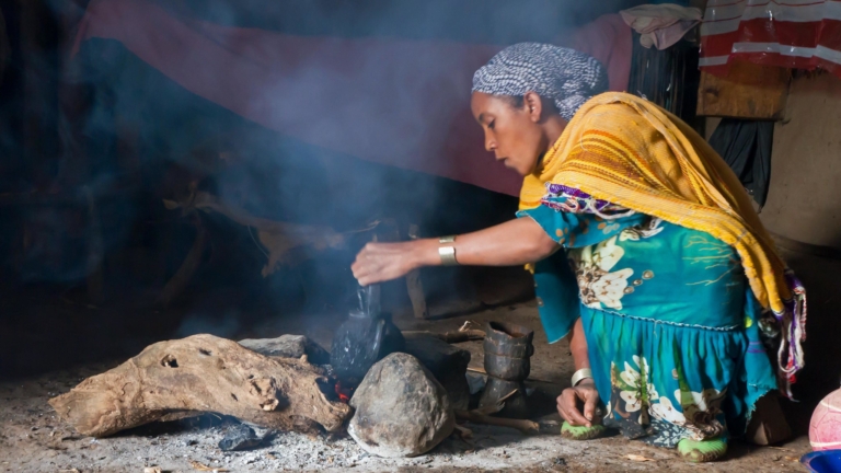 Updates on SDG 1 in Ethiopia: Progress Toward Ending Poverty - The ...