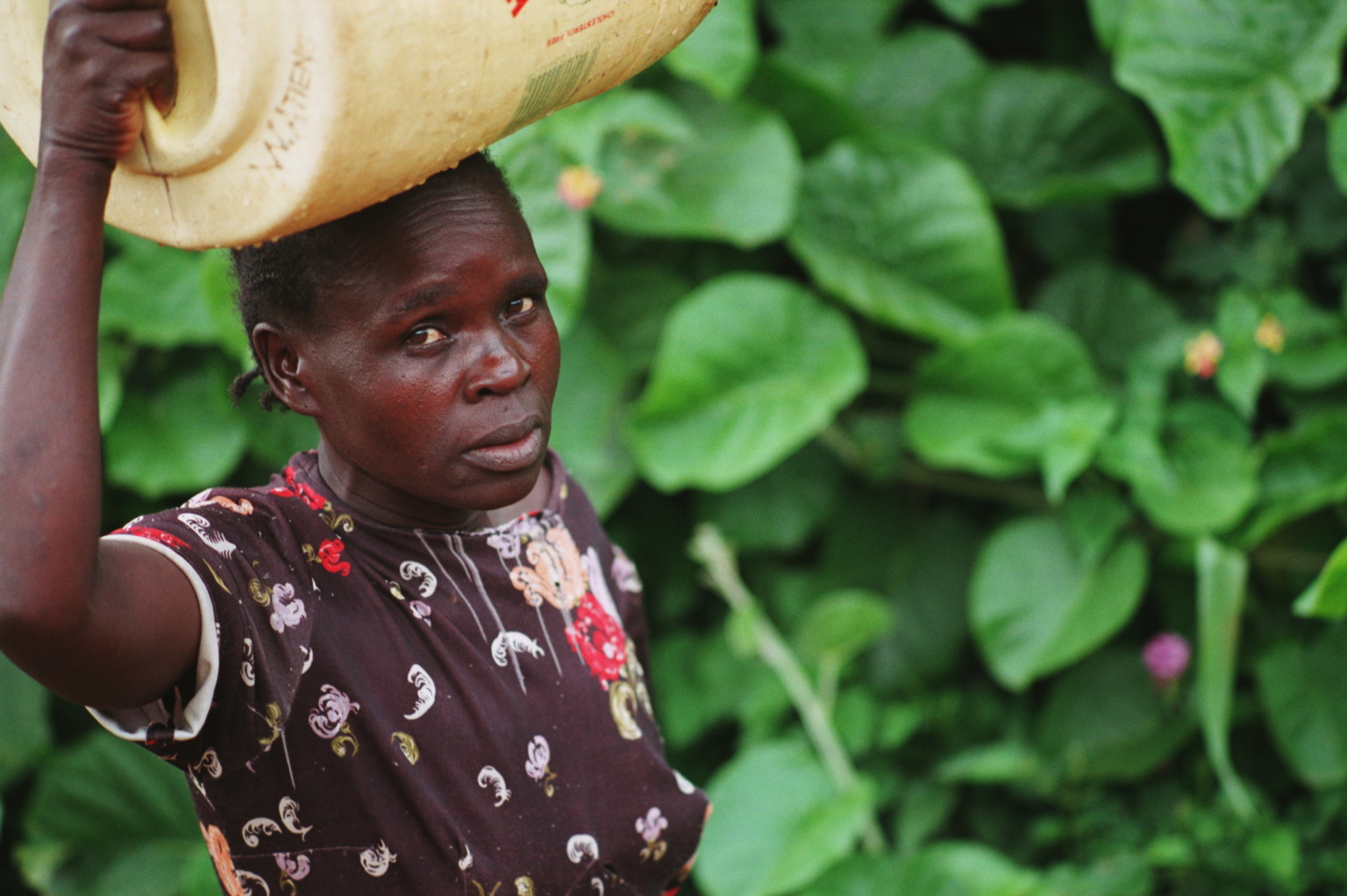 10 Facts About Life and Sanitation in Djibouti - The Borgen Project